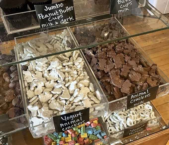 Yogurt pretzels and peanut butter cups living together in perfect candy harmony, as nature intended.