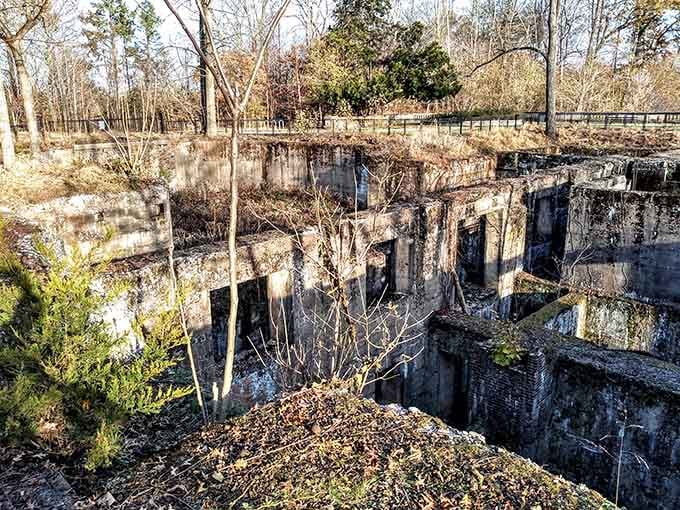 These atmospheric ruins add mystery to your walk, like stumbling onto a movie set nobody bothered cleaning up.