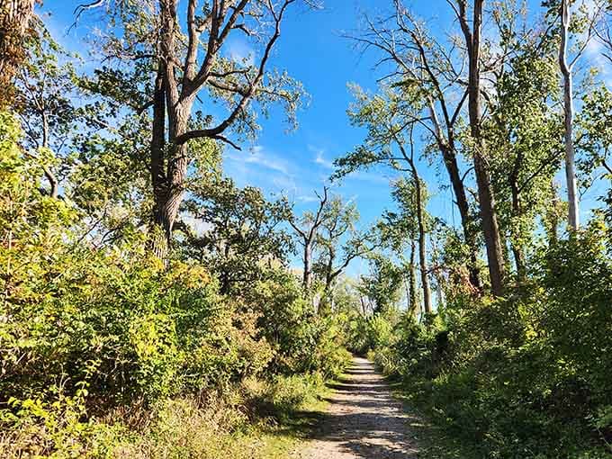 Tree-lined trails that make you forget you're still in Ohio and not some fancy nature documentary filming location.
