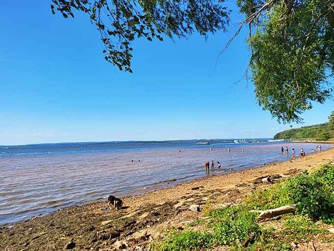 Beach days here mean soft sand, gentle waves, and crowds so small you'll forget what traffic means.