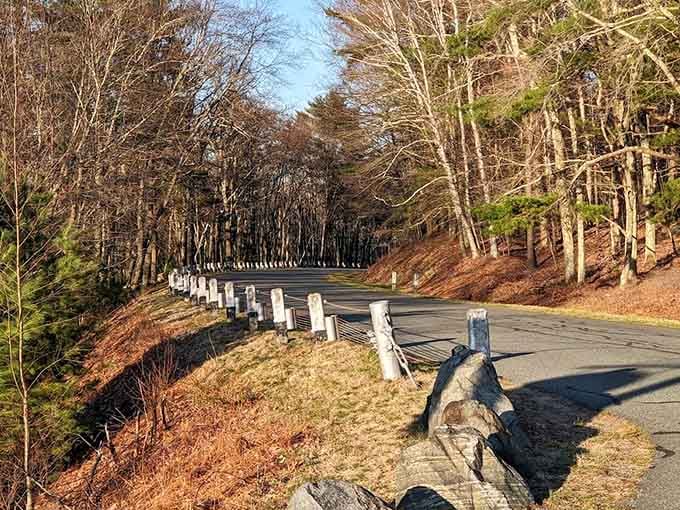 The winding road through bare trees creates a scene straight out of a New England postcard collection.