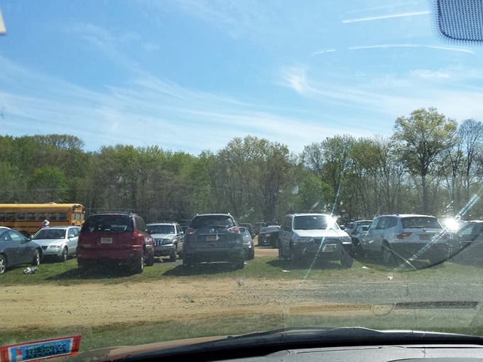 The parking lot fills faster than a concert venue, proving that great deals draw crowds better than any headliner ever could.