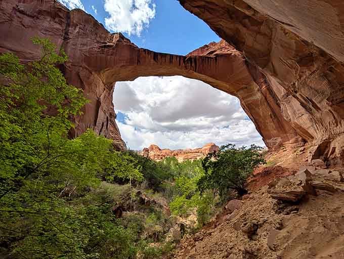 Mother Nature's masterful architecture puts human efforts to shame. This natural bridge has been perfecting its pose for millions of years.