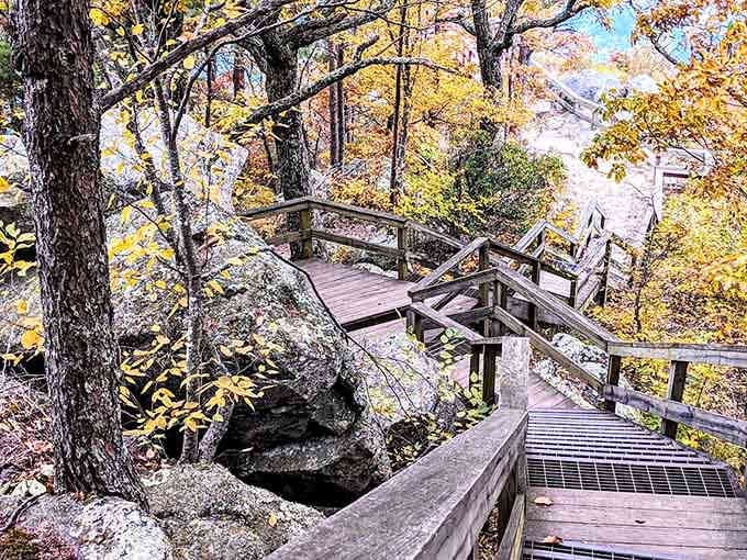 These wooden stairs wind through fall foliage like a stairway to heaven, only with better views and less commitment.