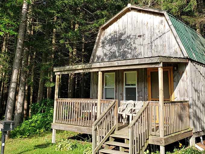 A cabin that understands sometimes luxury means being surrounded by trees instead of room service menus.