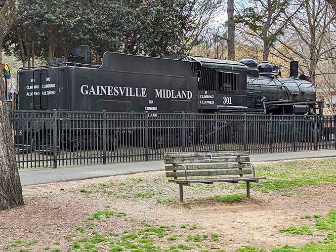 This vintage Gainesville Midland locomotive stands as a monument to transportation history, delighting train enthusiasts of all ages.