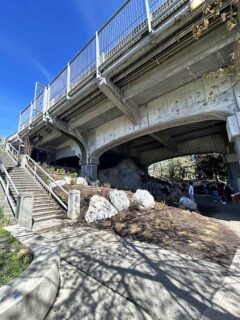 Most People Don't Know There's A Giant Troll Lurking Under This Bridge ...