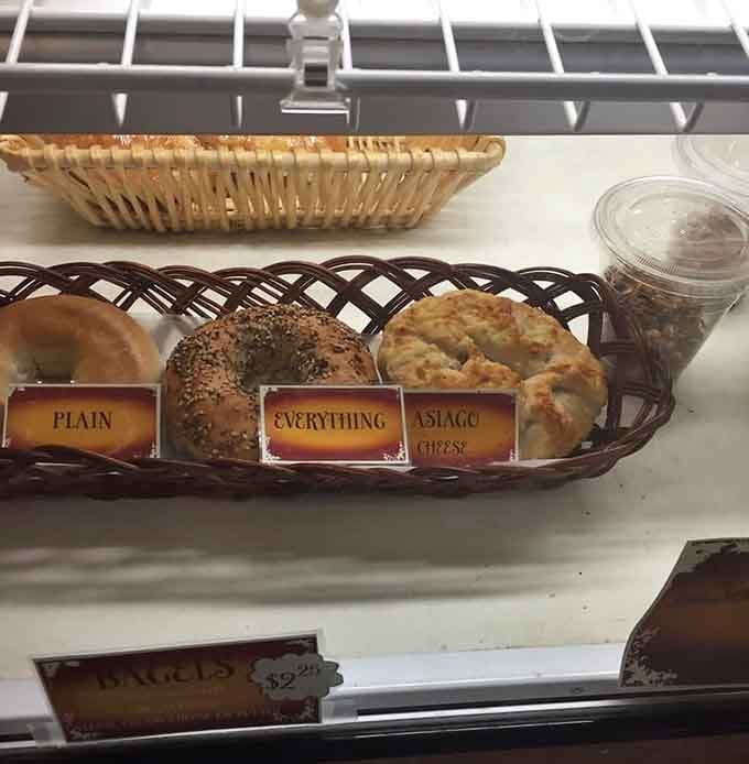Plain, everything, and asiago bagels lined up like the breakfast dream team ready for action.