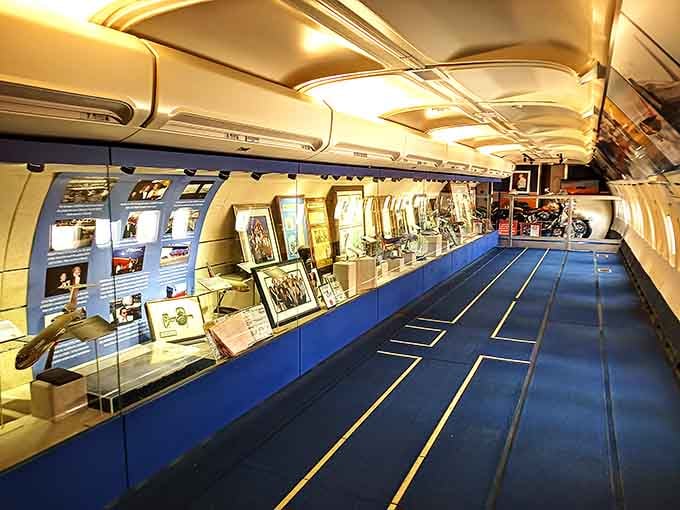 Walking through a fuselage transformed into a gallery space feels wonderfully surreal and utterly captivating.