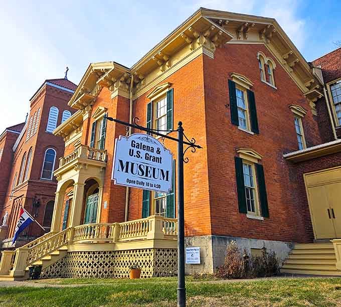 The museum building itself is a work of art, making history lessons significantly more attractive than high school ever managed.