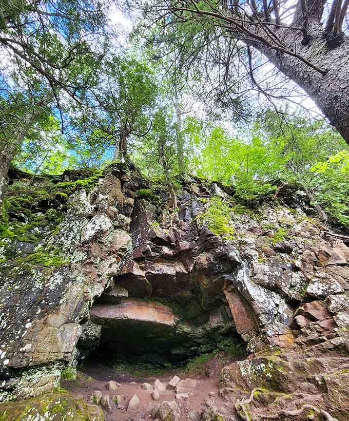 This moss-covered grotto looks like where woodland creatures hold their secret council meetings about important forest business.