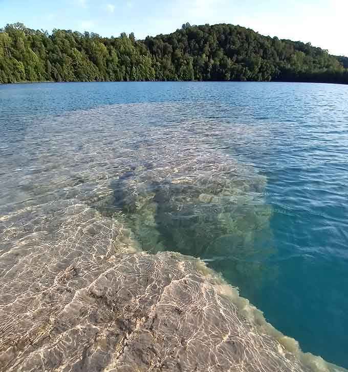 The water clarity here makes you wonder if you've accidentally stumbled into a nature documentary about tropical paradises.