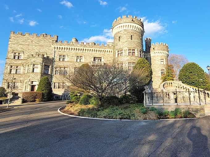 Sunshine makes those grey stones glow golden. Mother Nature knows how to light a castle just right.