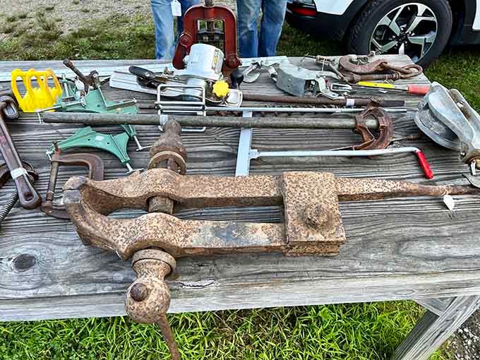 Tools with the patina of honest work. That anvil has probably shaped more metal than a 1980s hair band.
