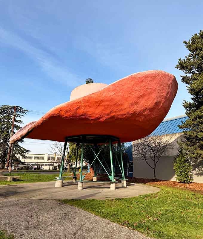 That orange-pink cowboy hat could shelter half the neighborhood during a rainstorm if it needed to.