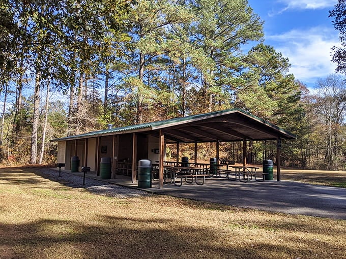 The covered picnic pavilion means you can enjoy lunch rain or shine, because Georgia weather plays by its own rules.