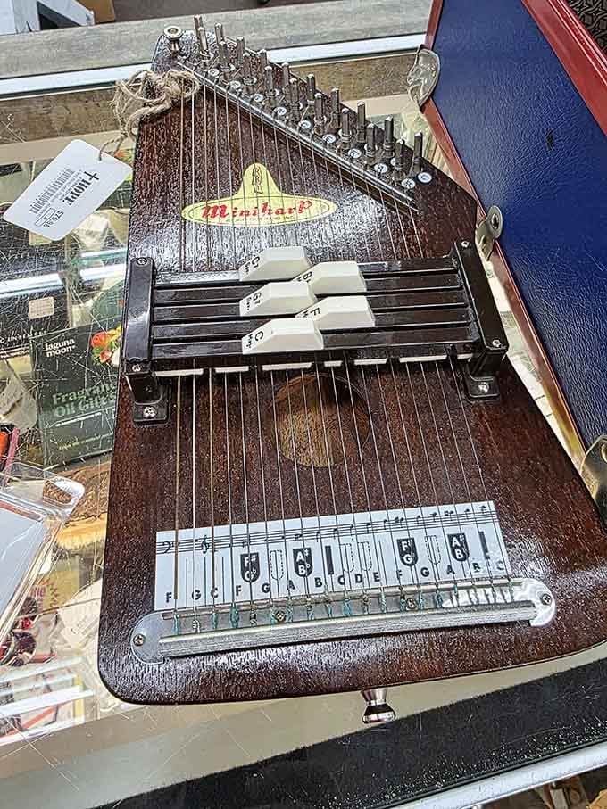 A vintage Marxochime autoharp that's either a musical treasure or the world's fanciest conversation starter, you decide.