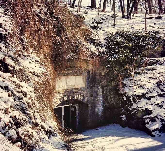 Even winter can't diminish the caverns' allure, that mysterious entrance beckoning brave souls year-round.