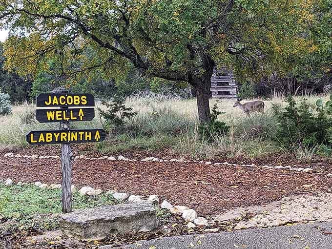 The labyrinth awaits, though honestly, getting lost here doesn't sound like the worst way to spend an afternoon.