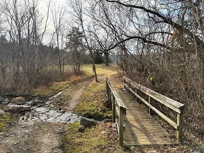 A footbridge that proves the journey really can be just as good as the destination sometimes.