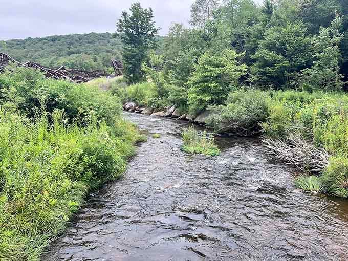 Kinzua Creek flows peacefully below, the same water that's witnessed over a century of history above.