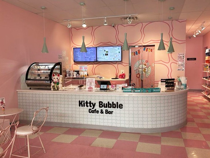 The order counter's white tile and pink walls create a retro diner vibe, if diners specialized in adoptable cats.