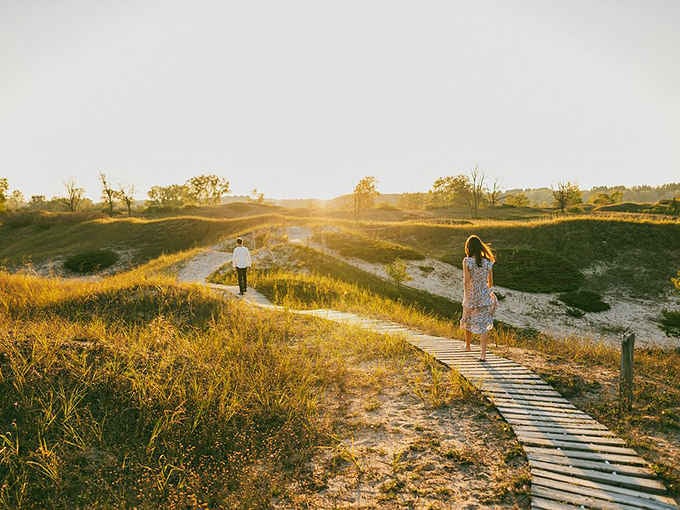 Golden hour transforms the dunes into a photographer's dream, painting everything in warm, honeyed light that's pure magic.