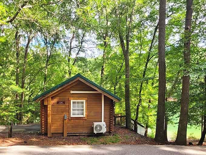 Cozy cabins offering the perfect compromise between outdoor adventure and indoor plumbing that everyone secretly appreciates after hiking.