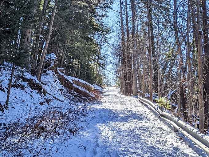 Winter trails offer that peaceful solitude you crave, plus the cardio workout you've been avoiding since January.