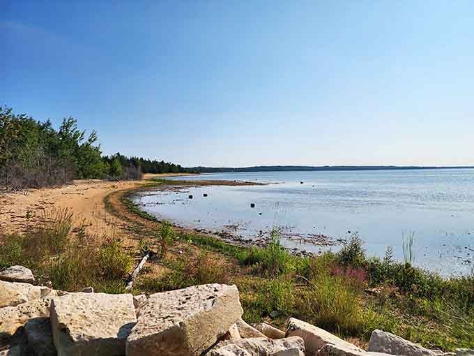 Lakeview Park's shoreline stretches out like nature's own private beach, minus the crowds and overpriced umbrellas.