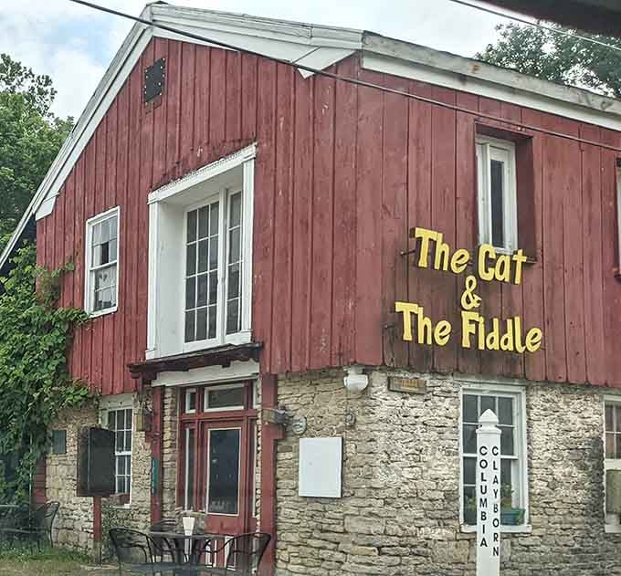 The Cat & The Fiddle occupies a building with more character than most reality TV shows could ever hope for.