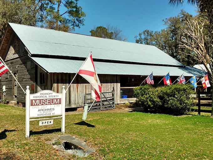 The Historical Society Museum proves that the best stories don't need special effects or a gift shop.