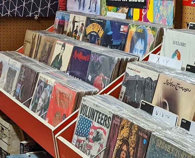 Vinyl records stacked like edible history, each album cover a time machine to when music required actual effort.