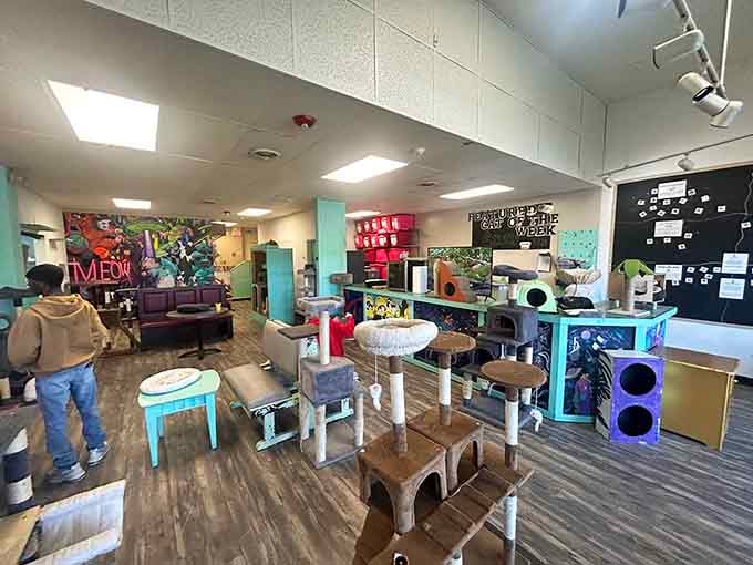 Multiple seating areas and cat condos create the perfect environment where humans and felines can mingle on equal terms.