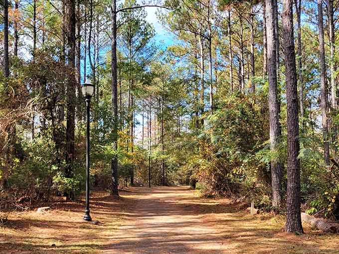Tree-lined paths wind through the woods, inviting you to take a walk and actually look up from your phone.