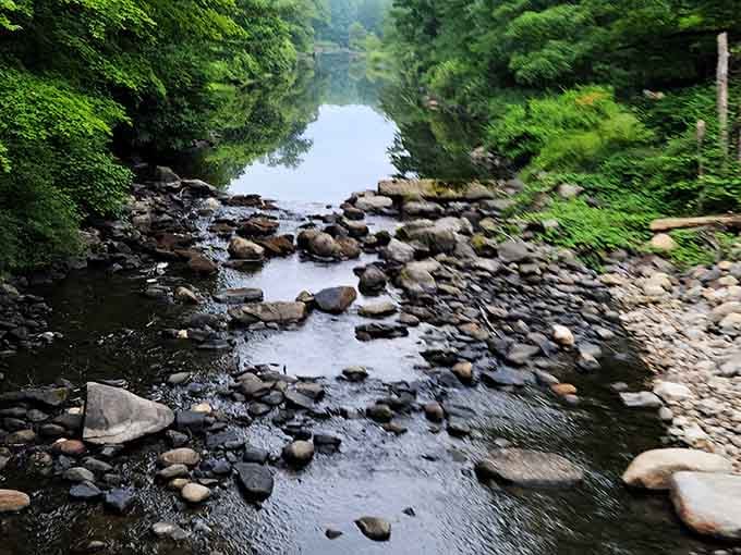 This peaceful stream meanders through the park like it's got nowhere important to be, and honestly, same.