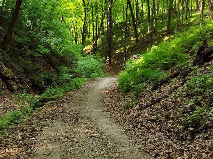 Forest trails above the cave offer their own beauty, though what's beneath your feet is even more spectacular.