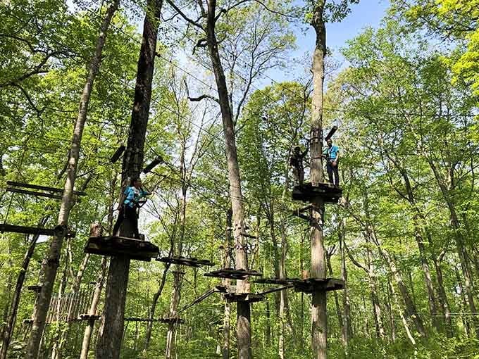 TreeTrails Adventures offers canopy courses for anyone brave enough to channel their inner Tarzan safely.