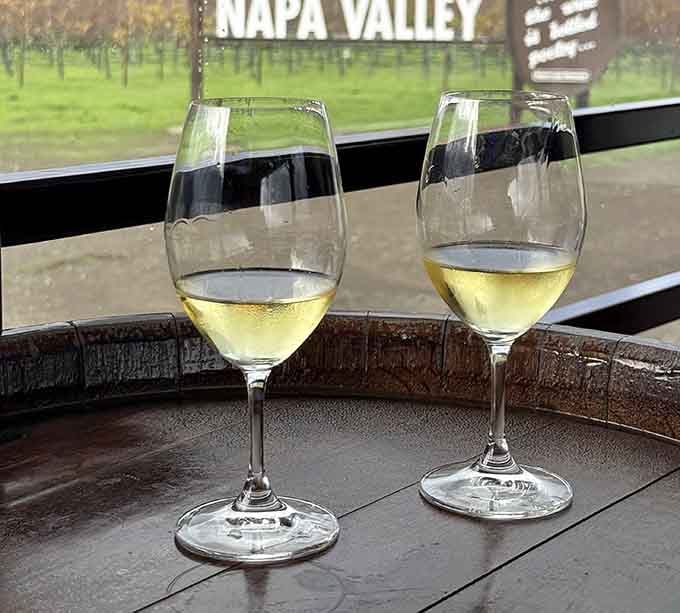 Two glasses of white wine with vineyard views, because some decisions really do make themselves.