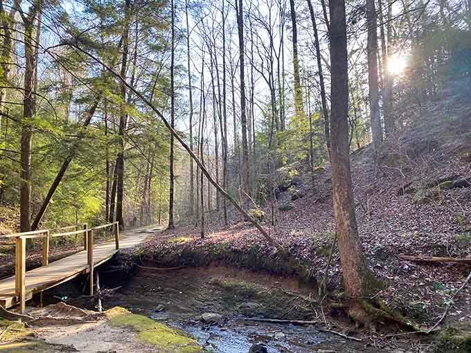 A wooden footbridge guides you deeper into the canyon where the temperature drops and your jaw inevitably follows.