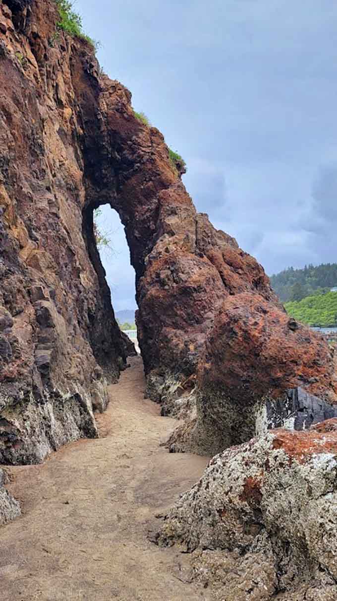 The Pacific's relentless waves carved this natural archway, proving water is the ultimate patient artist.