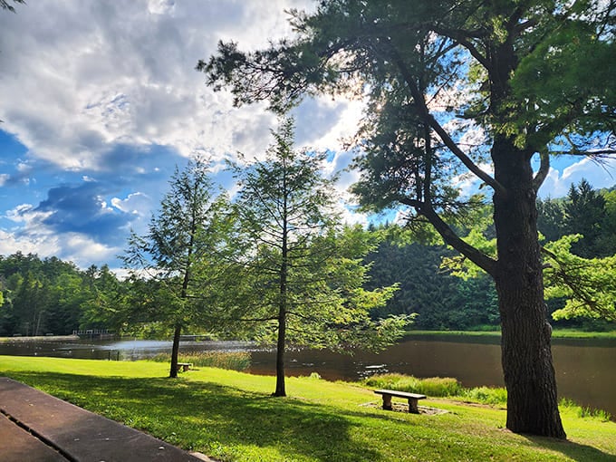 This tranquil lake scene proves the best things in life really are free (and wonderfully peaceful).