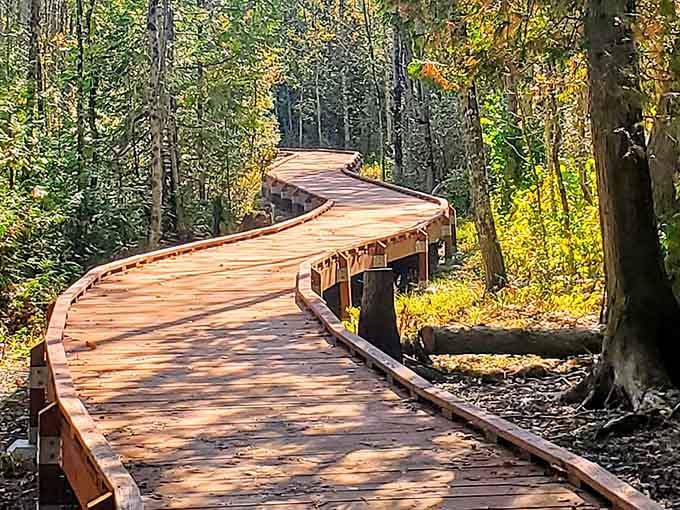 This boardwalk curves through the forest like nature's own yellow brick road to tranquility.
