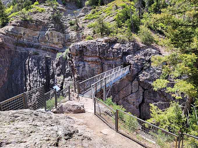Suspension bridges over roaring gorges: because sometimes the journey really is more exciting than the destination itself.