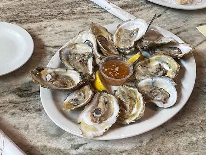 Fresh oysters arranged like a clock face of briny delights. Nature's perfect appetizer needs nothing more than a squeeze of lemon.
