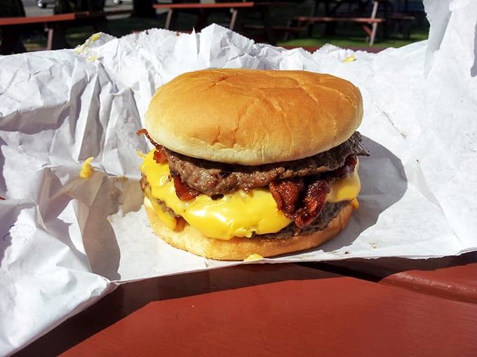 Classic cheeseburger glory with melted cheese cascading over a perfectly grilled patty that dreams are absolutely made of.