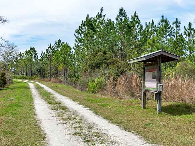 Nature trails where the only traffic jam involves deciding which path to take for your morning walk.
