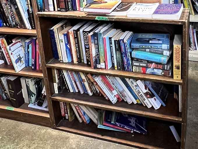 Book lovers, prepare to lose track of time: shelves packed with stories waiting to transport you somewhere new.