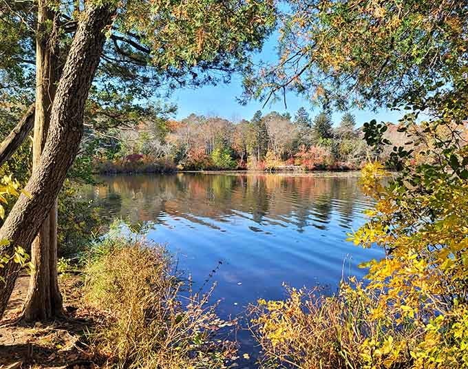 Fall foliage transforms the lake into a living painting, no filter needed for this masterpiece.