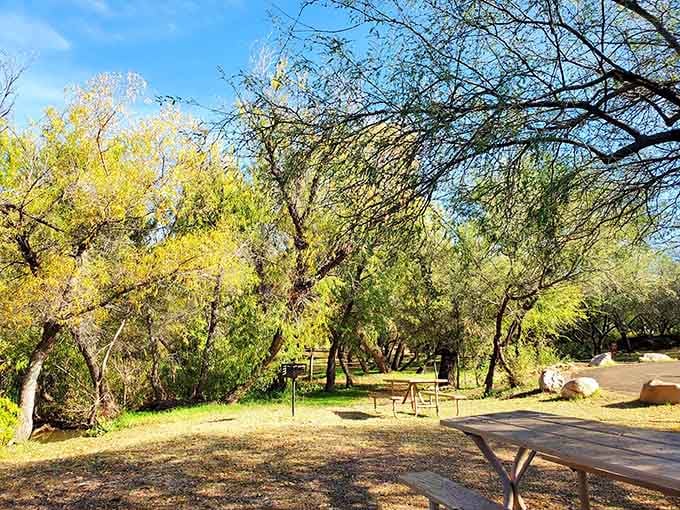 These picnic tables under mesquite trees have hosted more family debates than Thanksgiving dinner, but with better scenery.